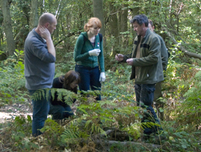 Foraging Courses | Wild Food UK