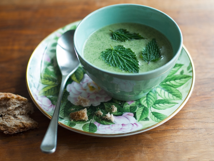 Nettle Soup - Wild Food UK