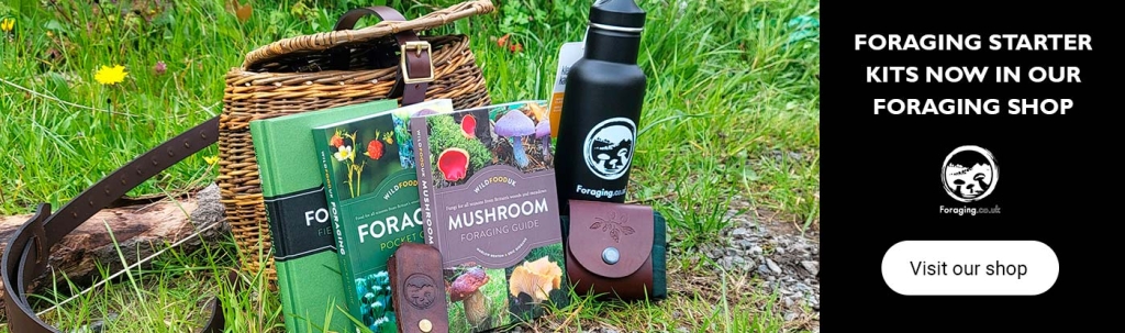 Foraging for Mushrooms and other Wild Foods in the UK