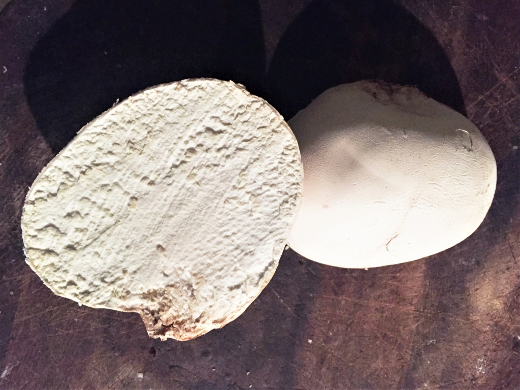 Giant Puffball - Wild Food UK