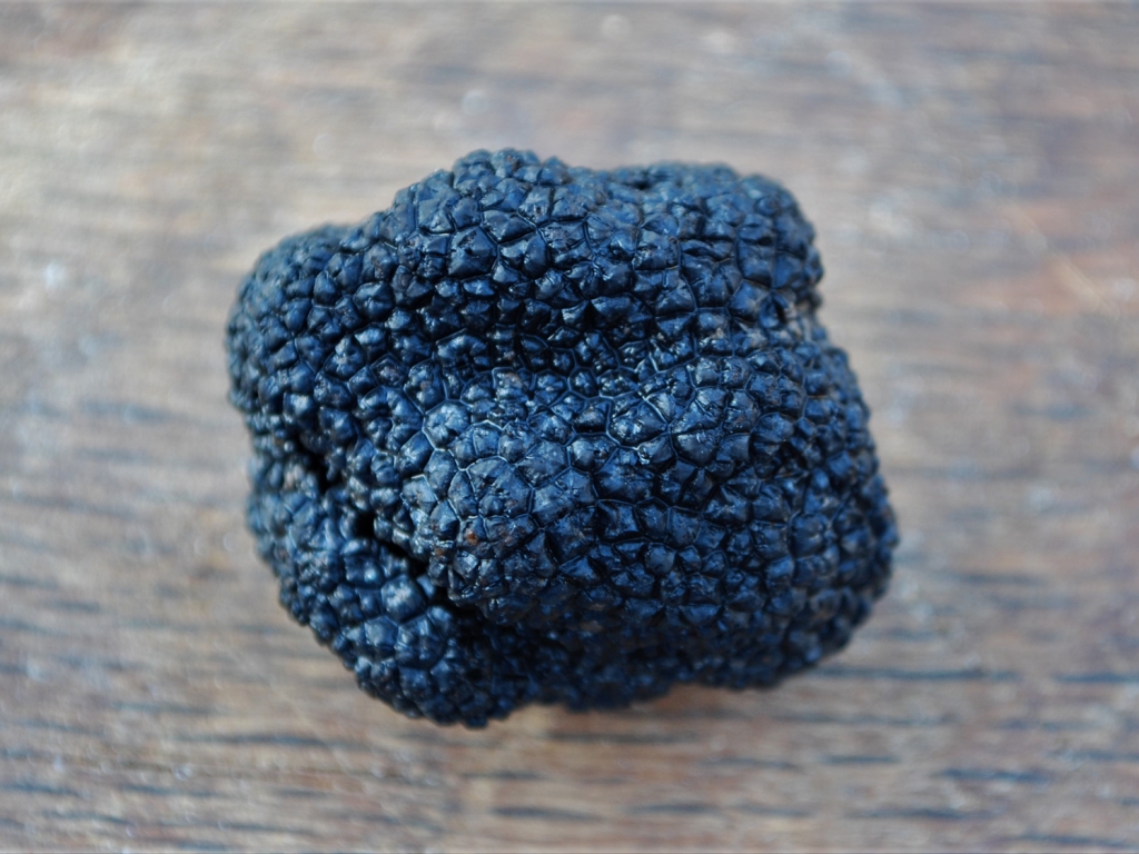 Truffles - Wild Food UK