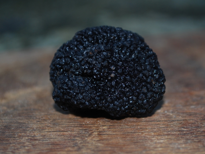 Truffles - Wild Food UK