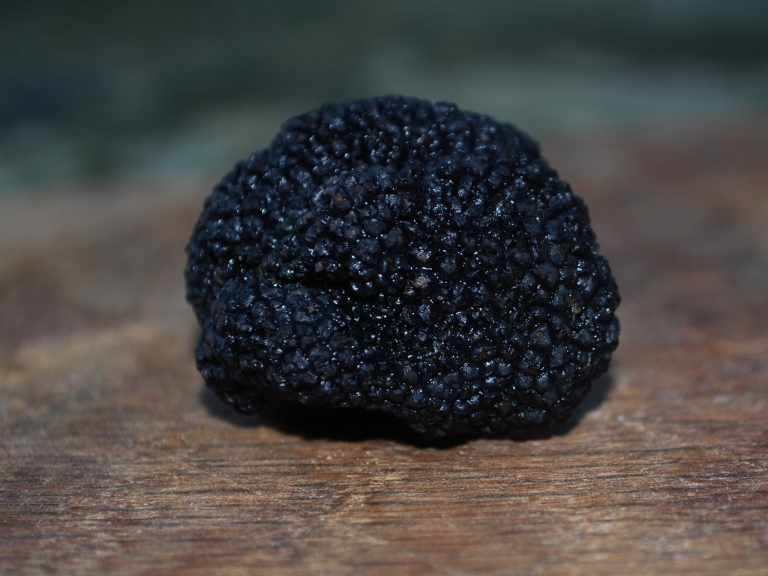 Truffles - Wild Food UK