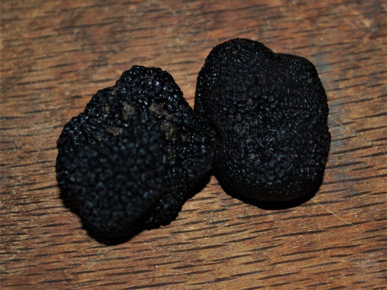 Truffles - Wild Food UK