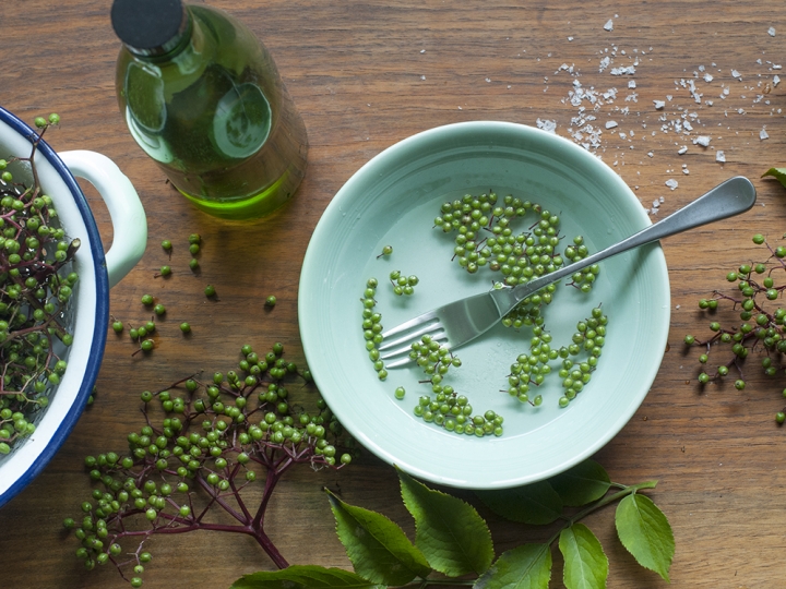Elderberry Capers - Wild Food UK