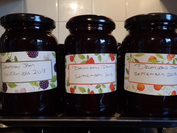 Damsons - Wild Food UK