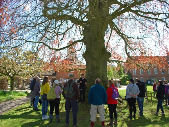 Wild Food & Mushroom Foraging Courses / Classes in the UK
