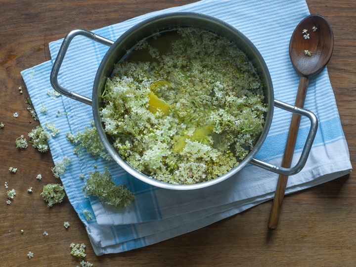 Elderflower Cordial - Wild Food UK