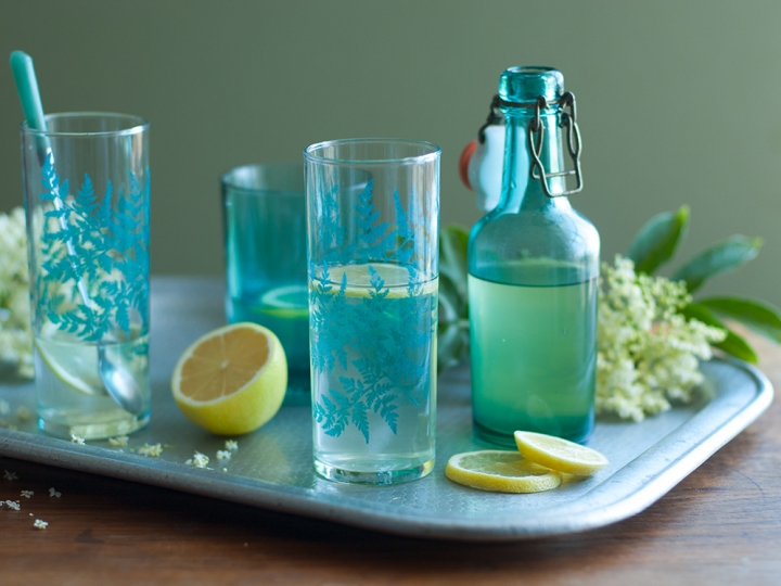 Elderflower Cordial - Wild Food UK