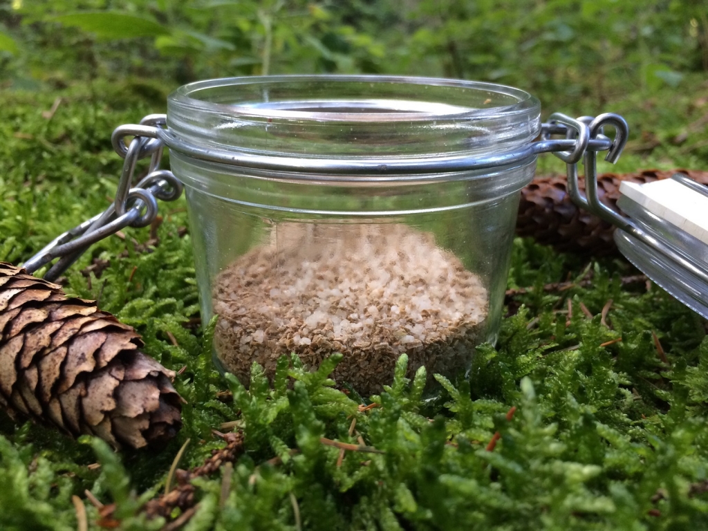 Spruce Salt Rub - Wild Food UK