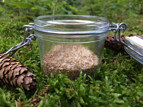 Spruce Salt Rub - Wild Food UK