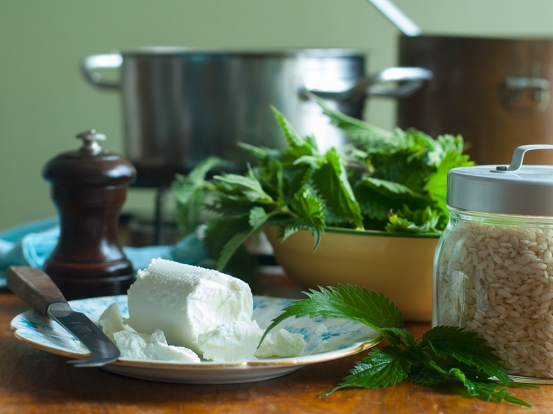 Nettle Risotto with Goats Cheese - Wild Food UK