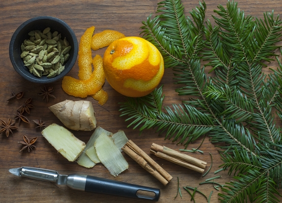 Grand Fir Spiced Tea - Wild Food UK