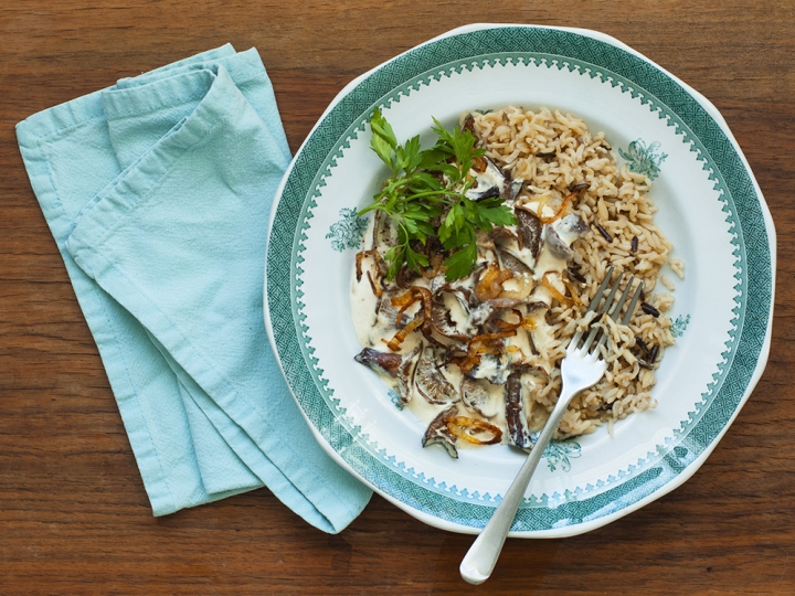 Blewit Stroganoff - Wild Food UK