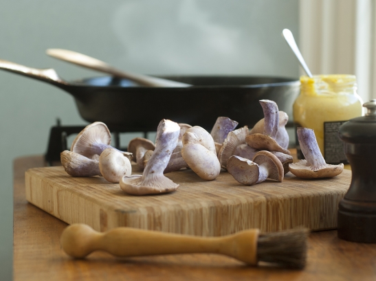 Blewit Stroganoff - Wild Food UK