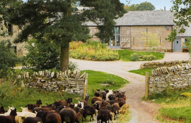 Wild Food & Mushroom Foraging Courses / Classes in the UK