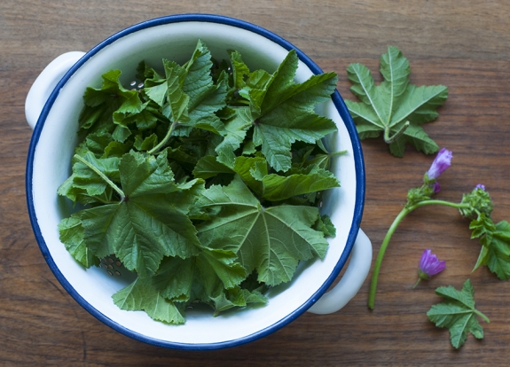Mallow Soup with Hazelnut Dukkah - Wild Food UK