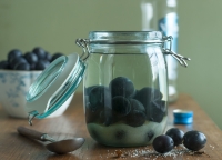 Damson Vodka - Wild Food UK