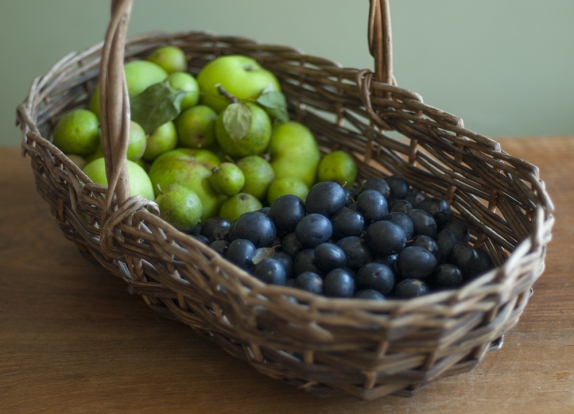 Damson and Apple Cheese - Wild Food UK