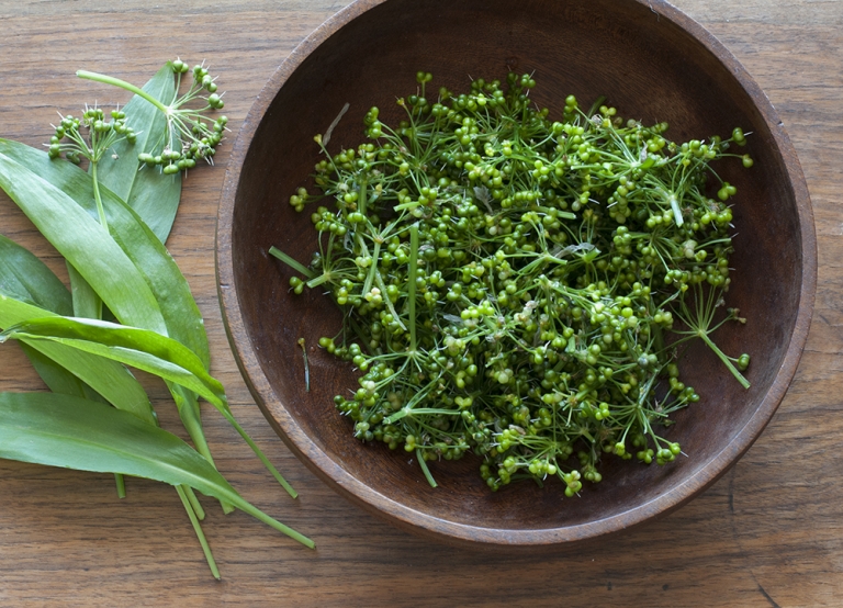 Pickled Wild Garlic Seeds - Wild Food UK