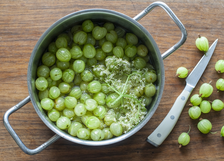 Gooseberry and Elderflower Fool - Wild Food UK