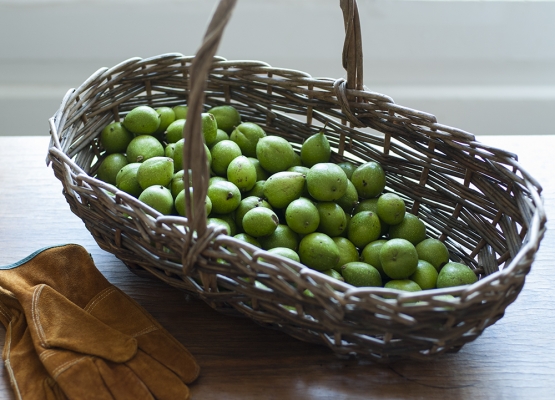Pickled Walnuts - Wild Food UK