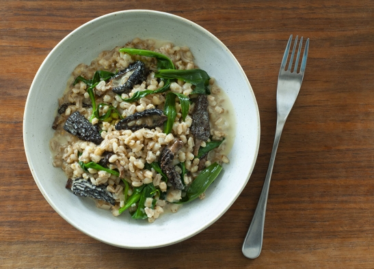 Pearl Barley Risotto with Morels and Wild Garlic - Wild Food UK