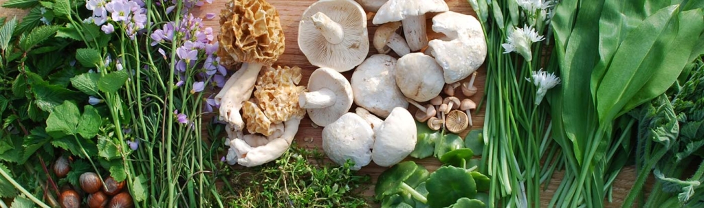 Foraging Courses - Map - Wild Food UK